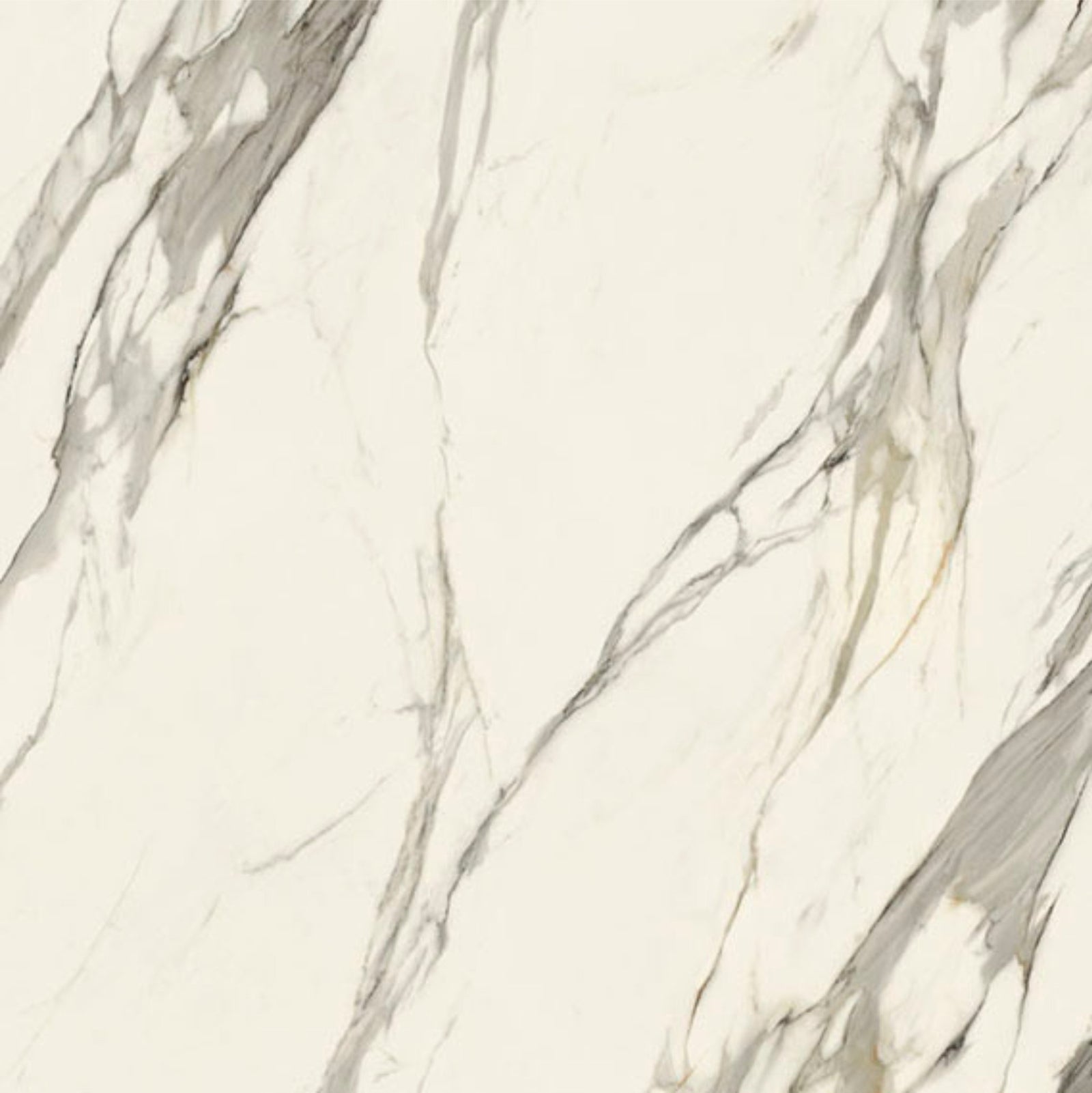Marble Look Tile Boutique - Calacatta Oro | Interni Austin