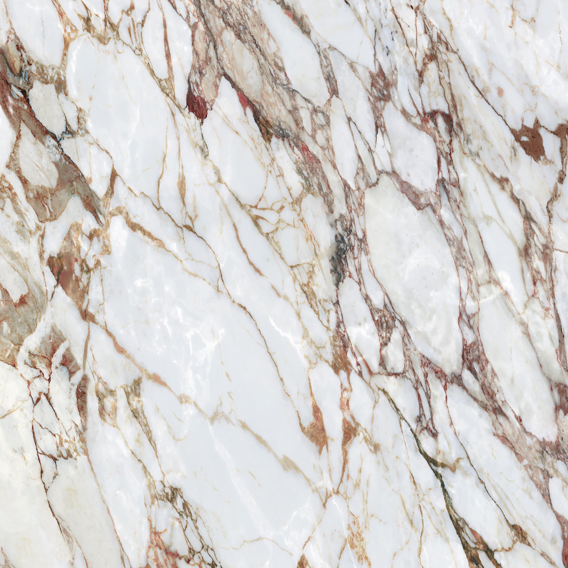 Marble Look Tile Cosmopolitan - Arabescato Oro | Interni Austin