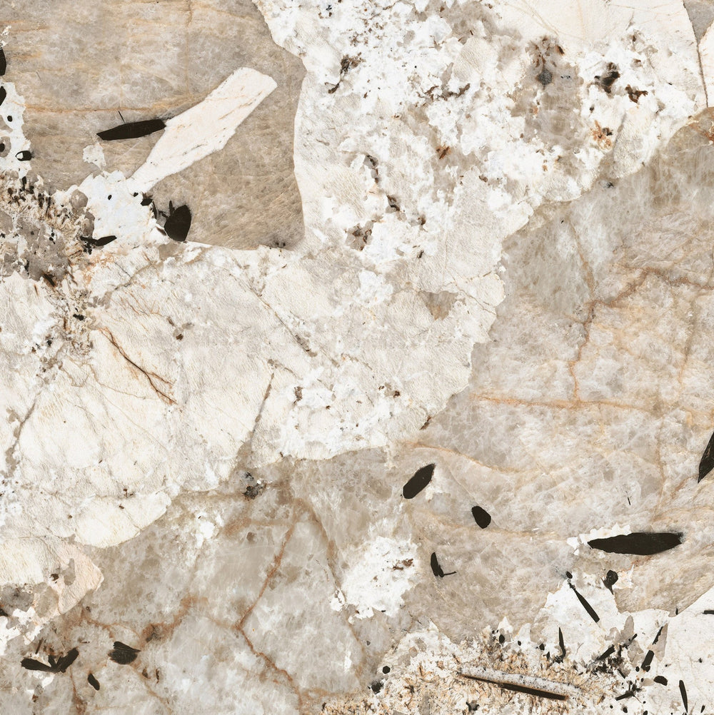 Marble Look Tile Nature Mood - Tundra | Interni Austin